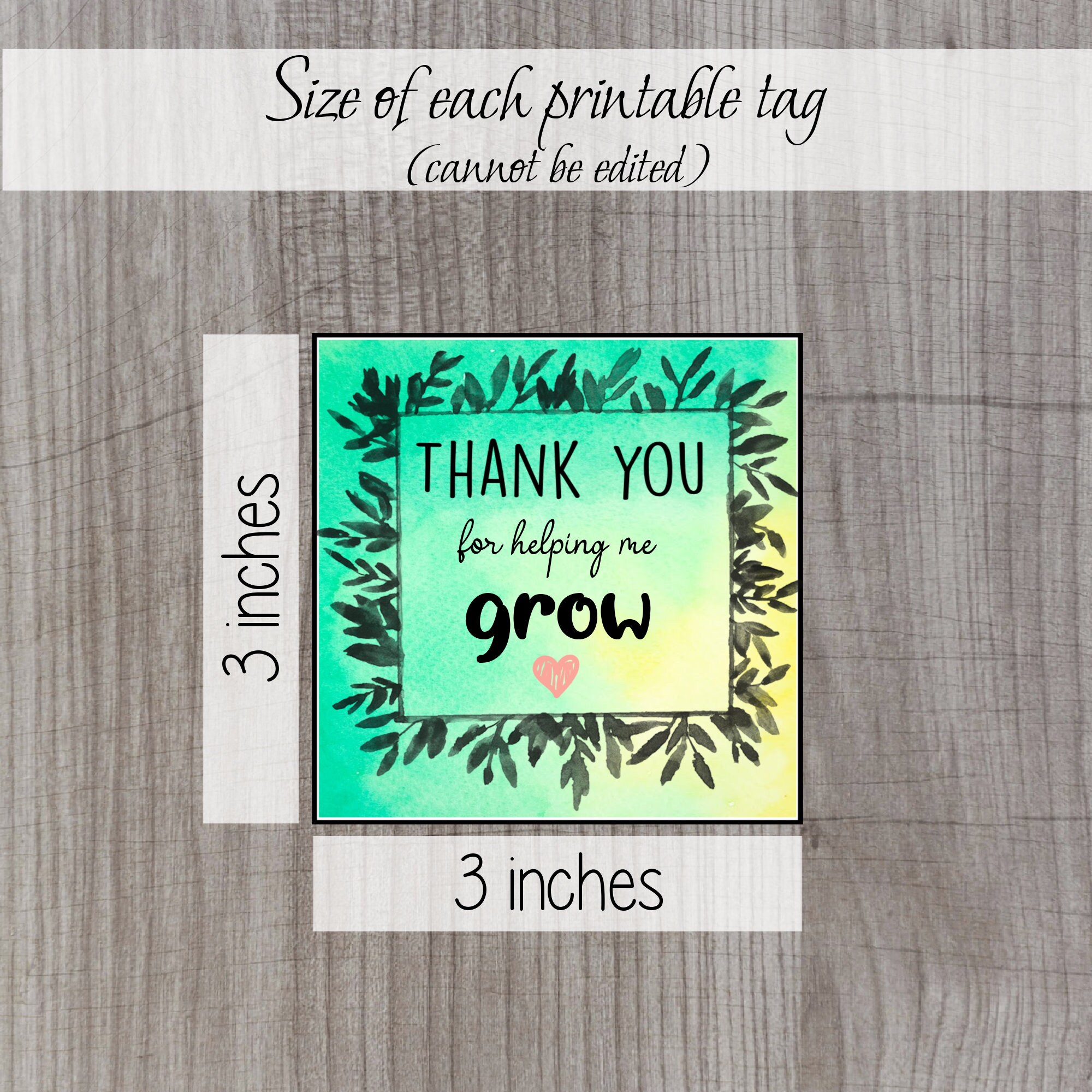 Teacher Thank You Printable Gift Tag - Etsy