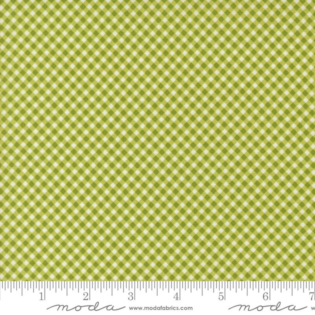 Raspberry Summer by Sherri & Chelsi for Moda Lime Green Gingham Bias ...