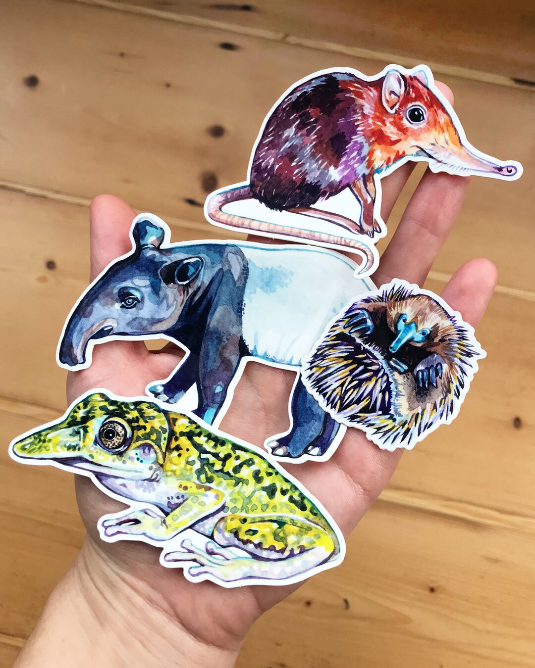 Snoot Set Sticker Set - Etsy