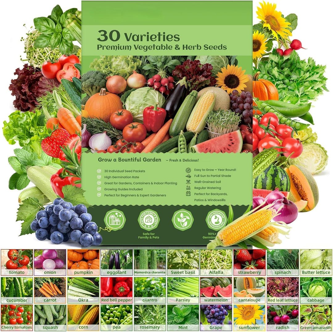 30 Varieties Heirloom Vegetable Seeds Kit, 15000+ Non GMO Garden Seeds ...