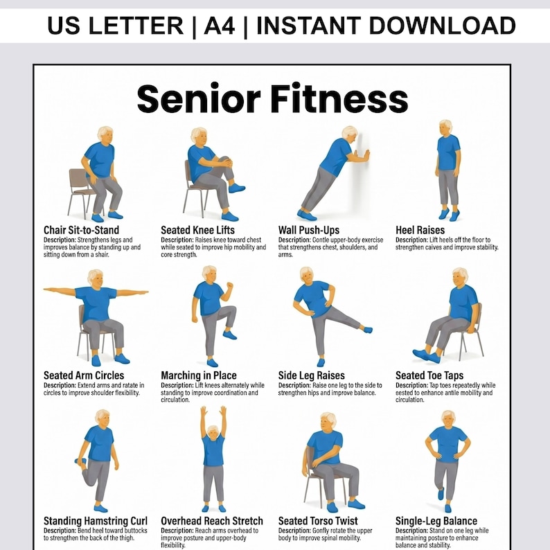 Senior Fitness Printable PDF, 16 Easy Chair & Standing Exercises for ...