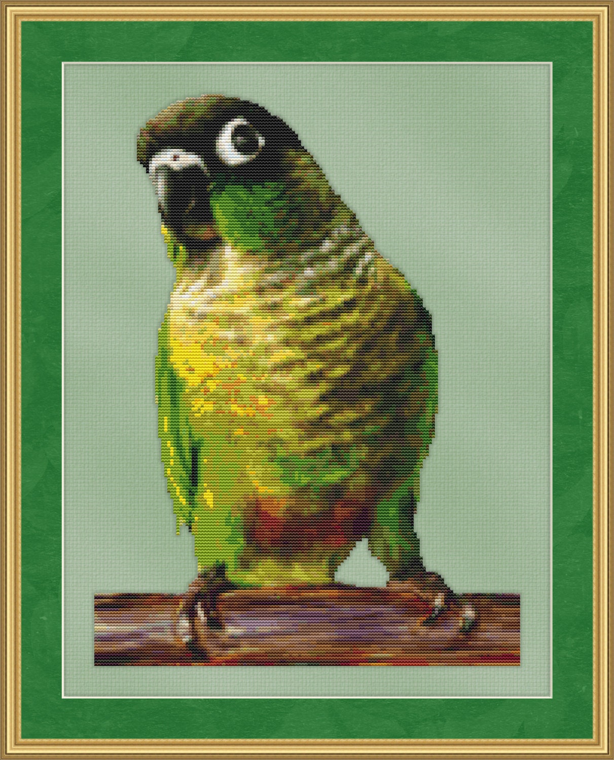 Tropical Conure Bird Cross Stitch Pattern - Beautiful Bird Xstitch ...