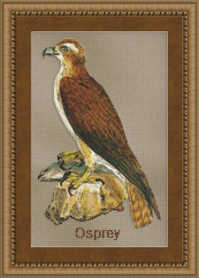 Cross Stitch Pattern Osprey Cross Stitch Cross Stitch Pattern / Design ...
