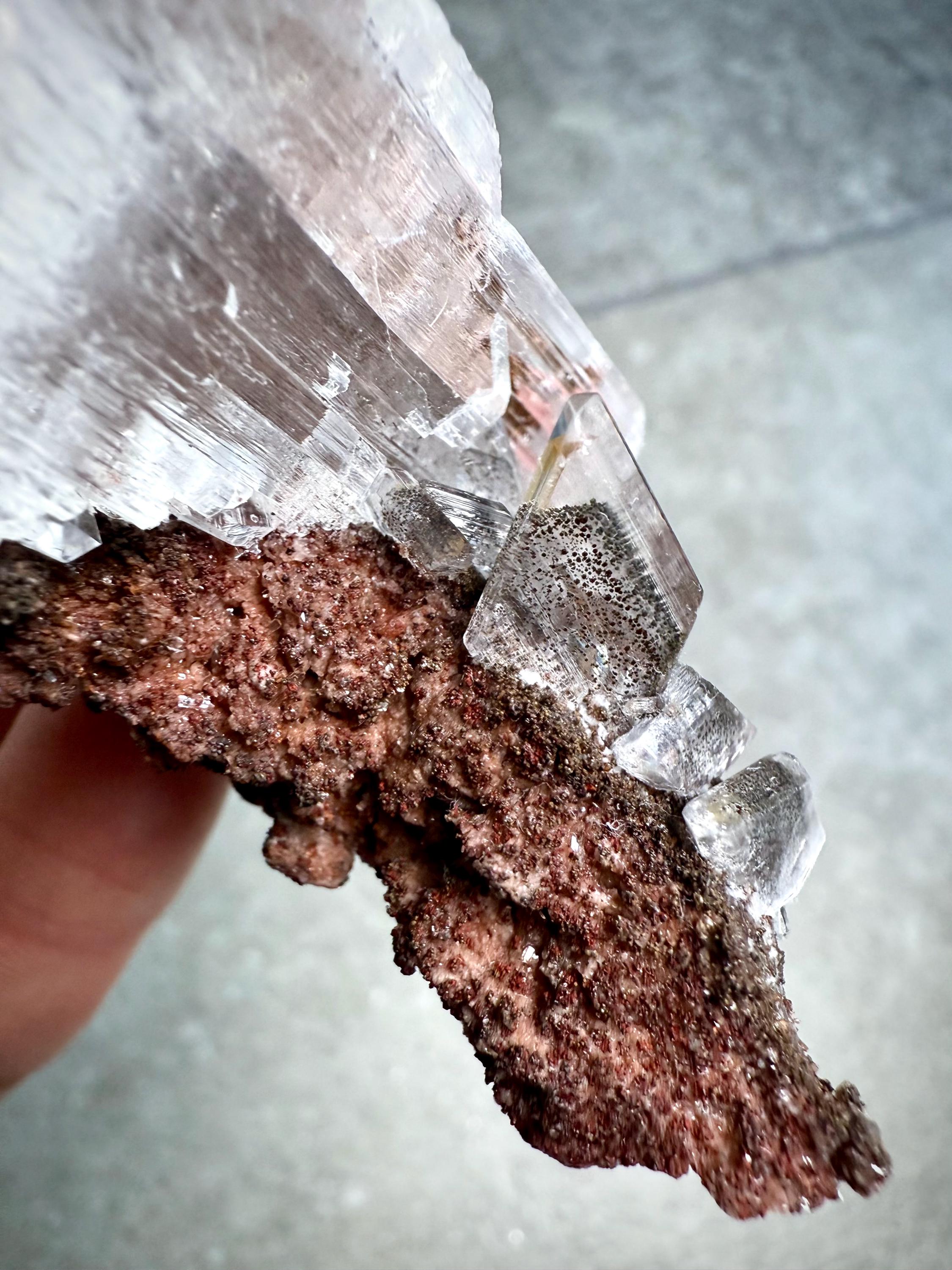 Naica Selenite From Mexico, Raw Gypsum Formation, Collector Specimen ...