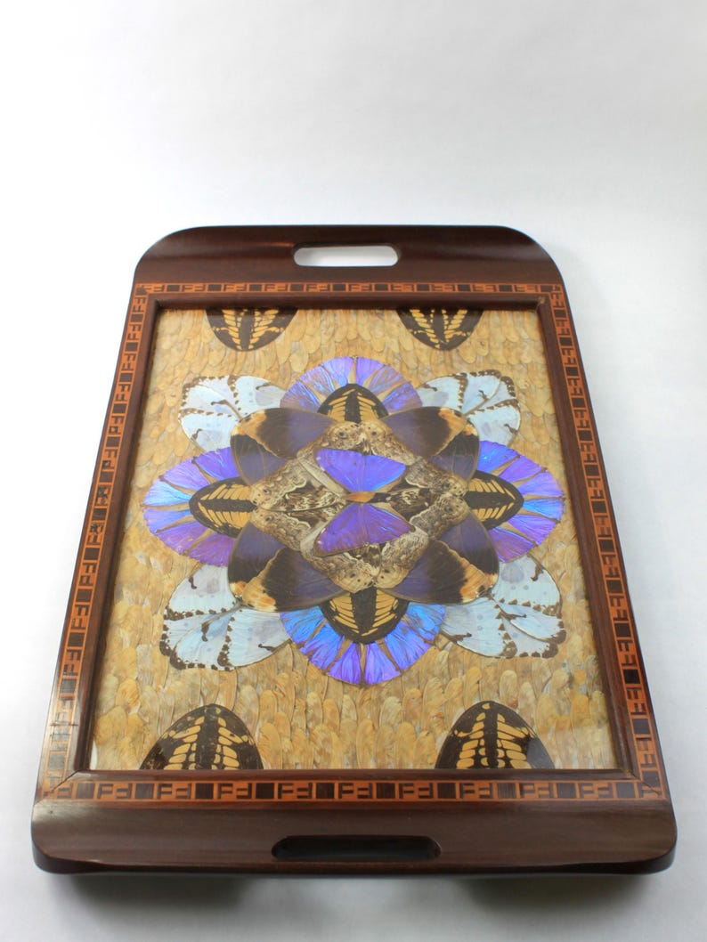 1930s Carlos Zipperer Brazilian Wood and Glass Tea Butterfly Wing Tray ...