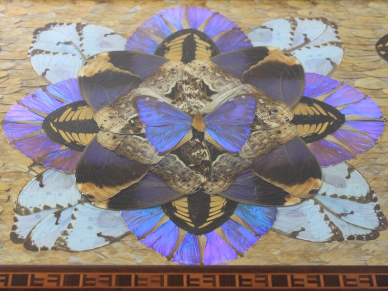 1930s Carlos Zipperer Brazilian Wood and Glass Tea Butterfly Wing Tray ...
