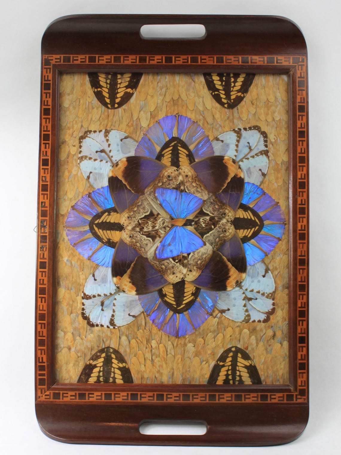 1930s Carlos Zipperer Brazilian Wood and Glass Tea Butterfly Wing Tray ...