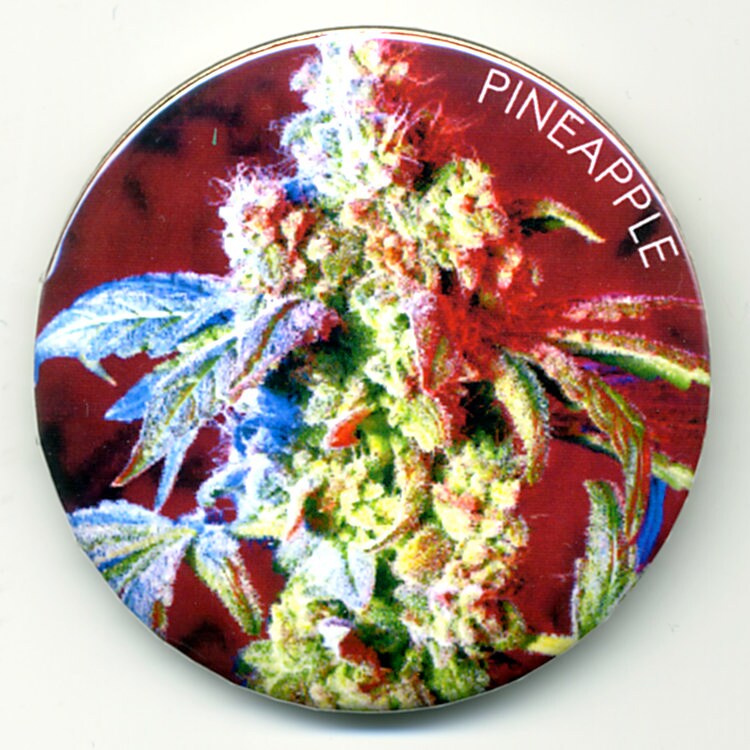 Lot of 24 Medical Cannabis Pinback Buttons Size 2.25 - Etsy UK
