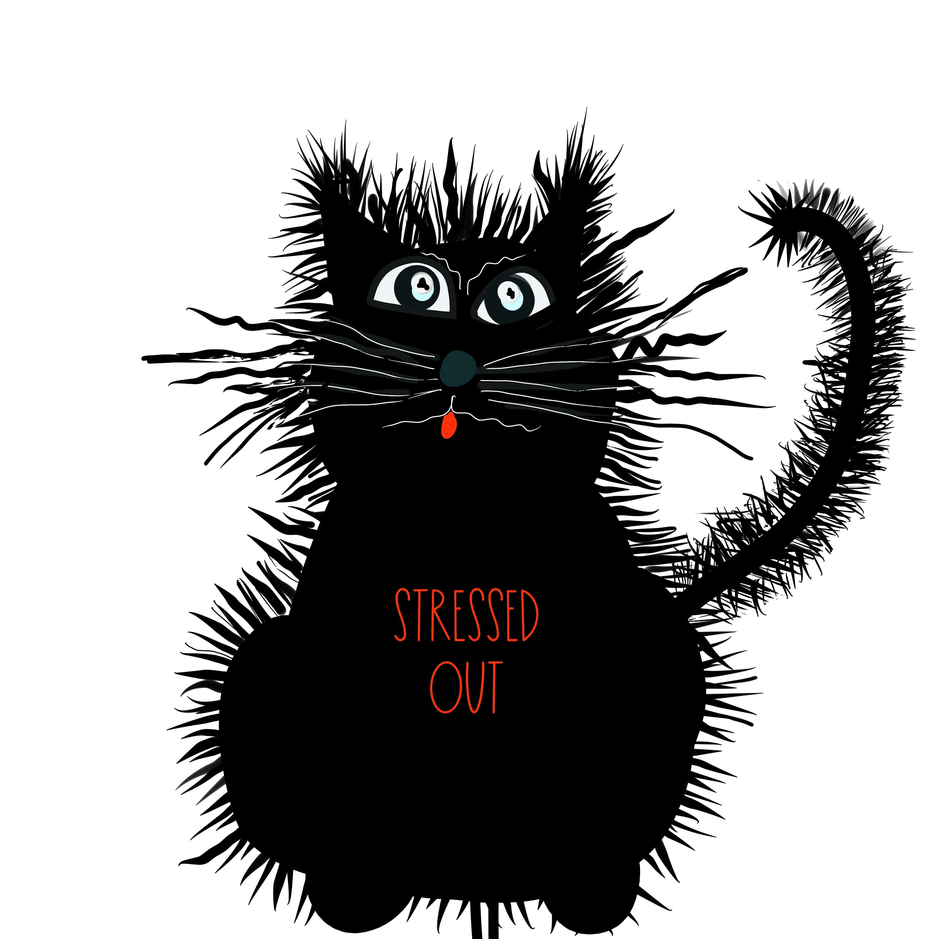 Stressed Out Cat Funny Cat Png Frizzed Out Cat File Funny - Etsy