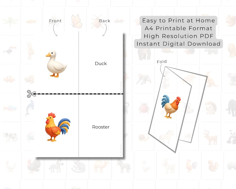 Tarjetas didácticas de 100 animales en inglés (anverso y reverso) (PDF ...