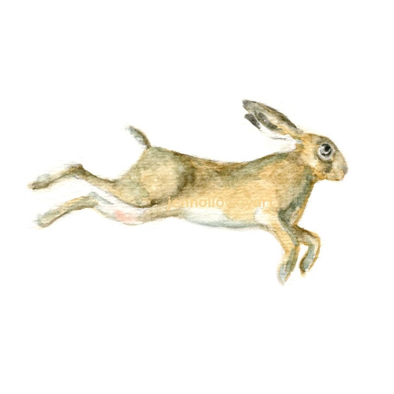 Running Rabbit - Etsy