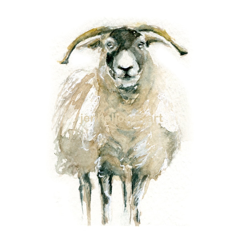 Watercolor Sheep Sheep Print Sheep Art Farm Animal - Etsy