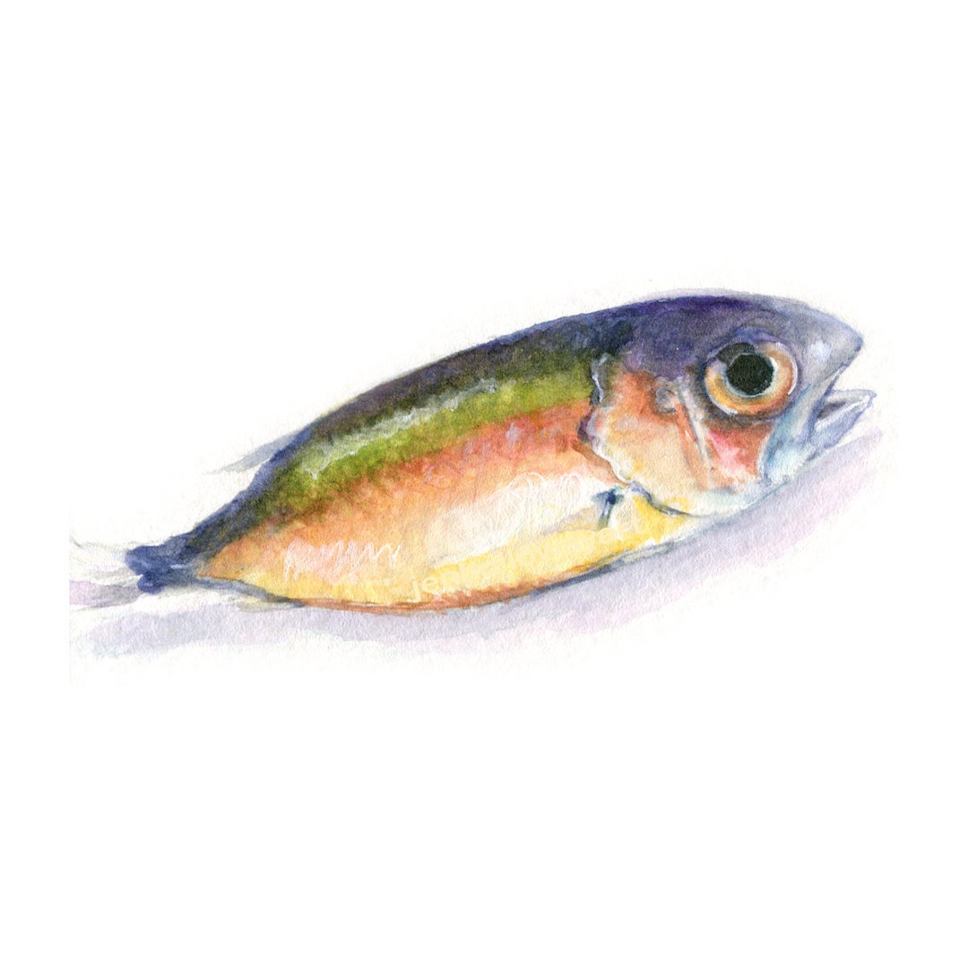 Watercolor Yellowfin, Baby Yellowfin Print, Fish Print, Baby Fish Print ...