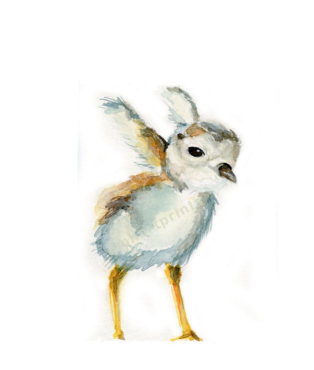 Watercolor Baby Beach Bird, Baby Beach Bird Print - Etsy