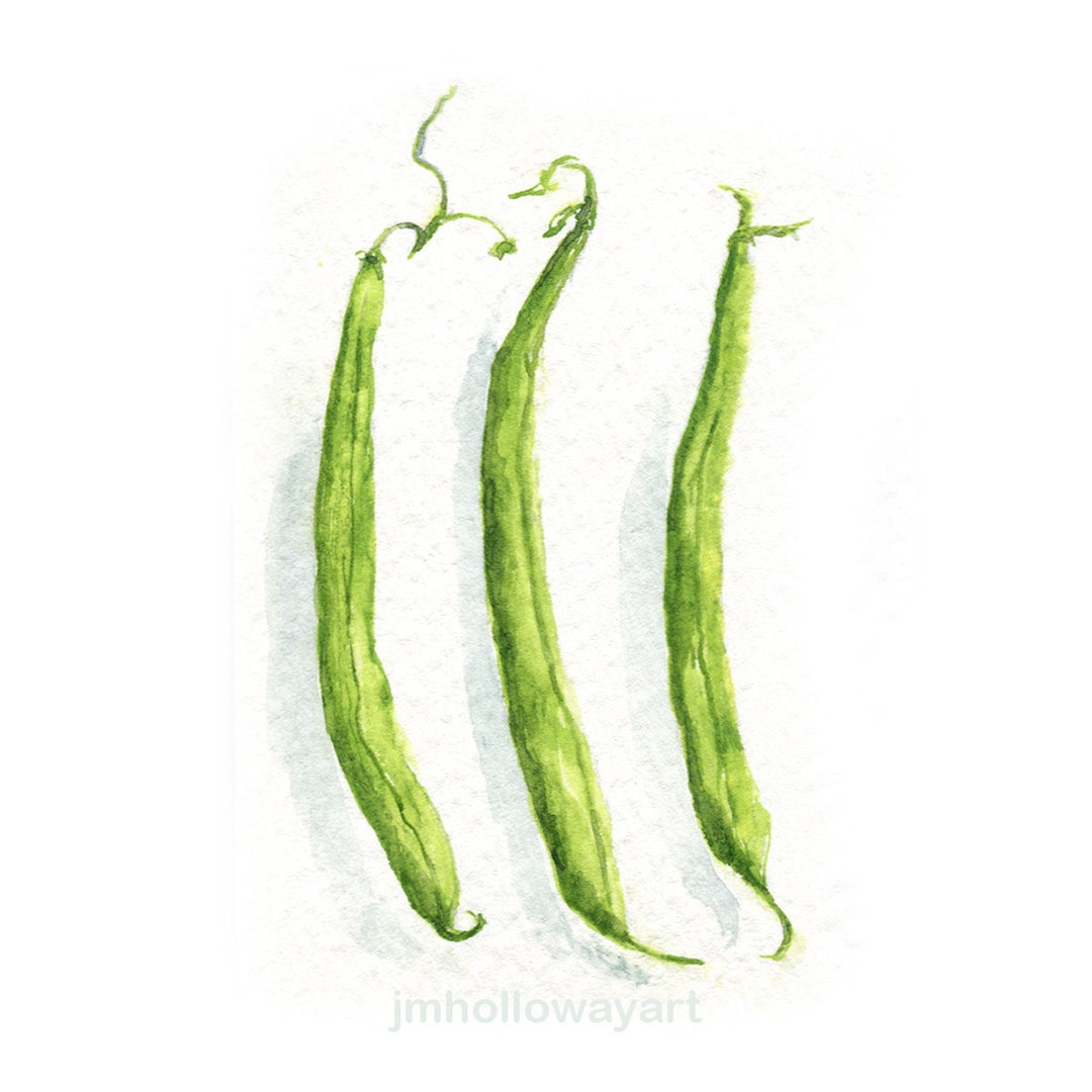 Watercolor Green Beans, Green Beans Print, Haricot Vert Print,vegetable ...