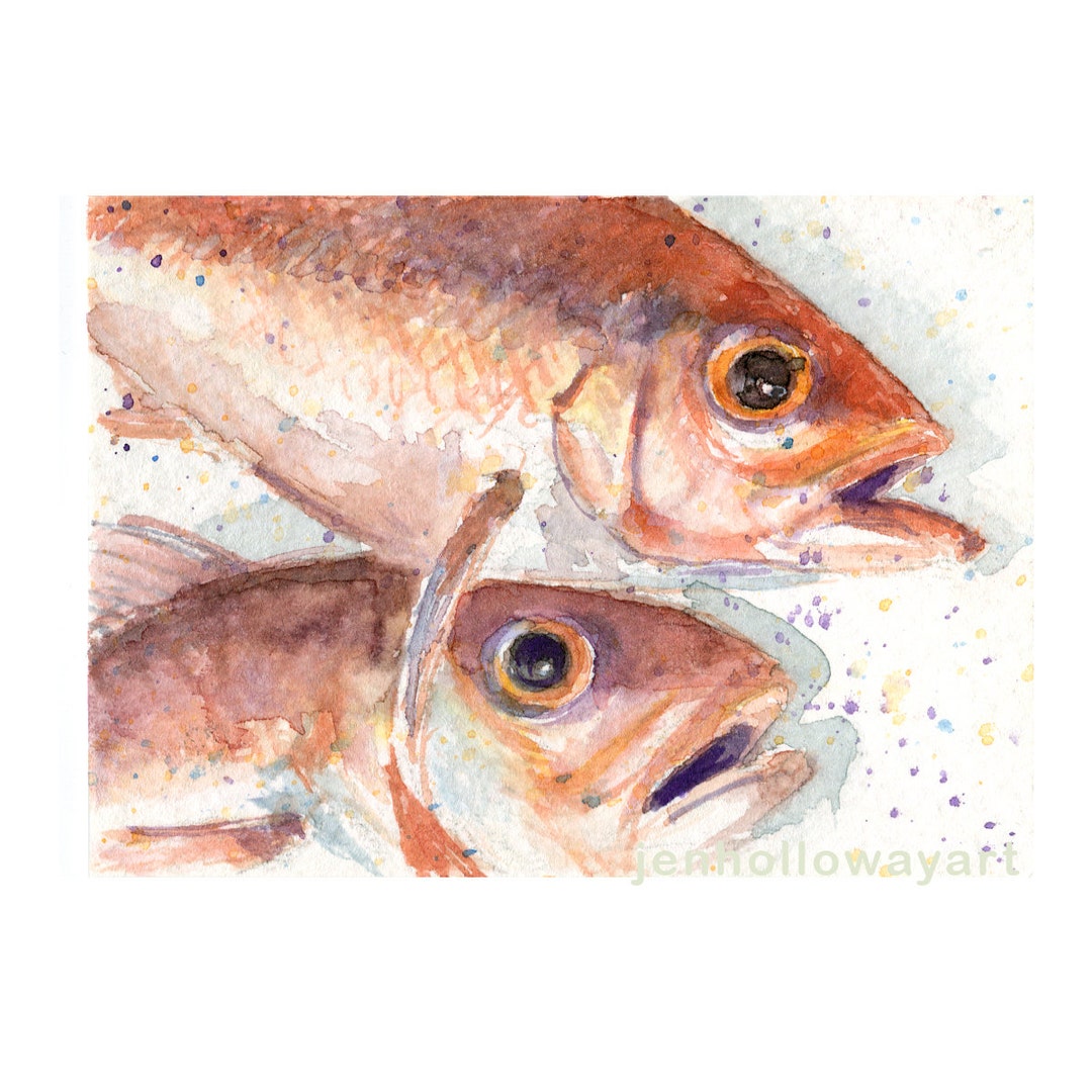 Watercolor Snapper, Fish Print, Queen Snapper Print, Fish Art - Etsy