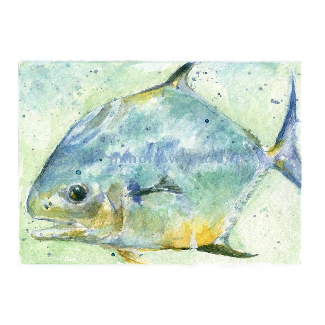Watercolor Permit, Permit Print, HIS, Fishing Print, Saltwater Fish ...