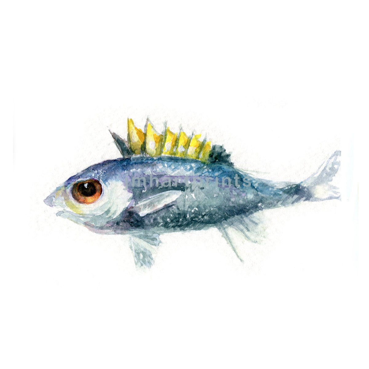Watercolor Baby Tuna, Baby Tuna Print - Etsy