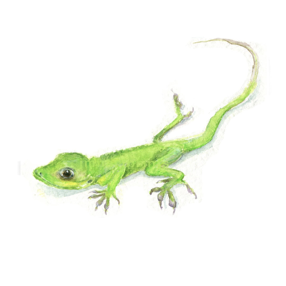 Watercolor Gecko, Gecko Print, Green Gecko Print, Green Lizard Print ...