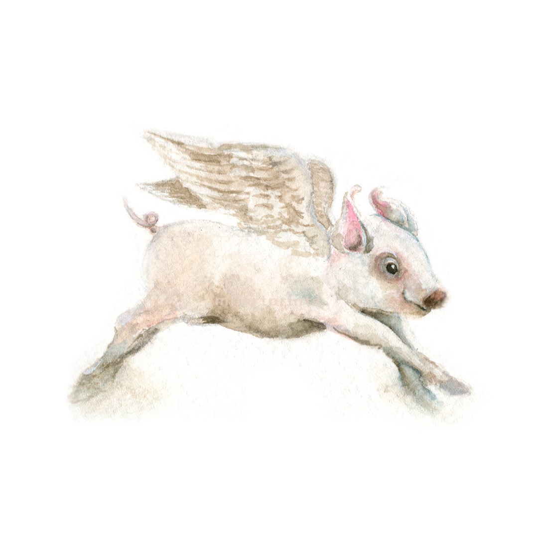 Watercolor Flying Pig, Flying Pig Print, Winged Pig Print - Etsy