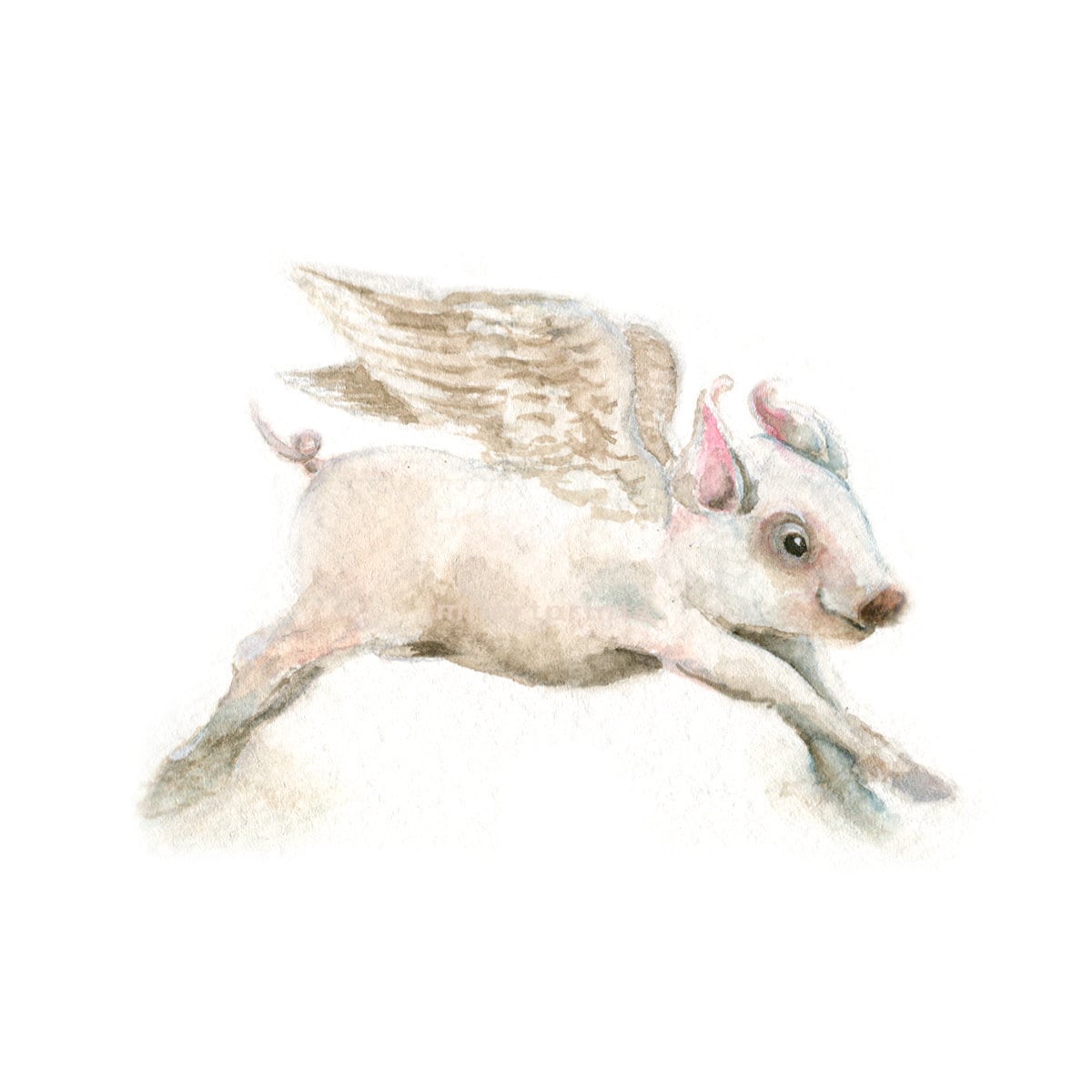 Watercolor Flying Pig, Flying Pig Print, Winged Pig Print - Etsy