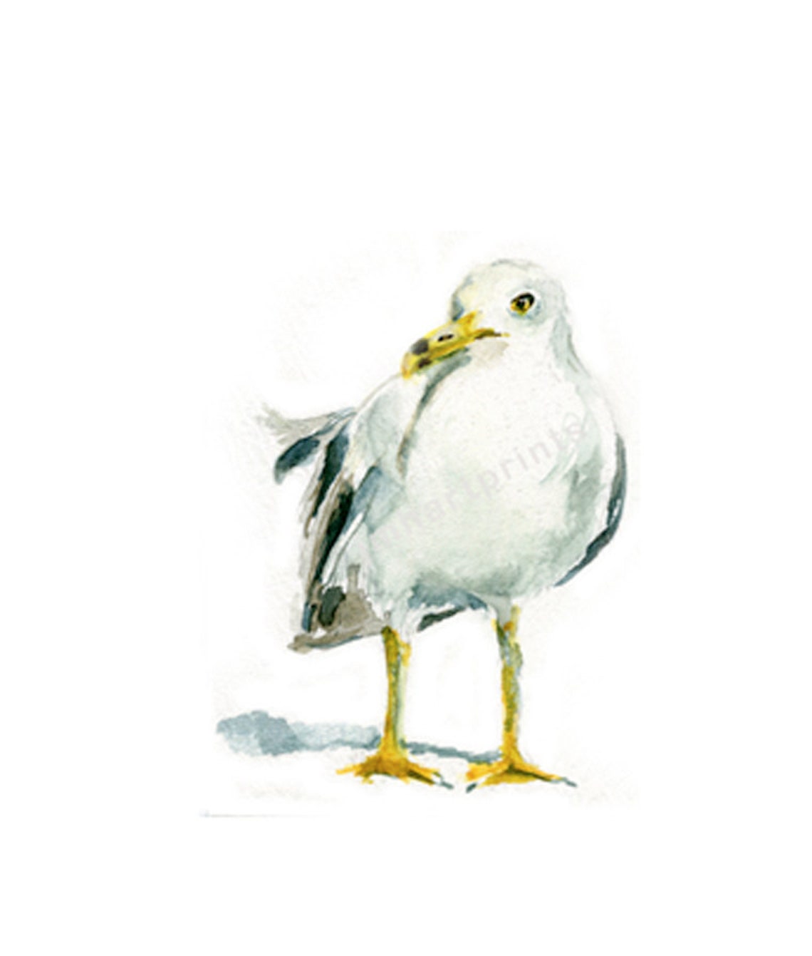Watercolor Seagull Seagull Print - Etsy