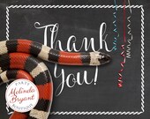 Product Search: Snakes | Catch My Party