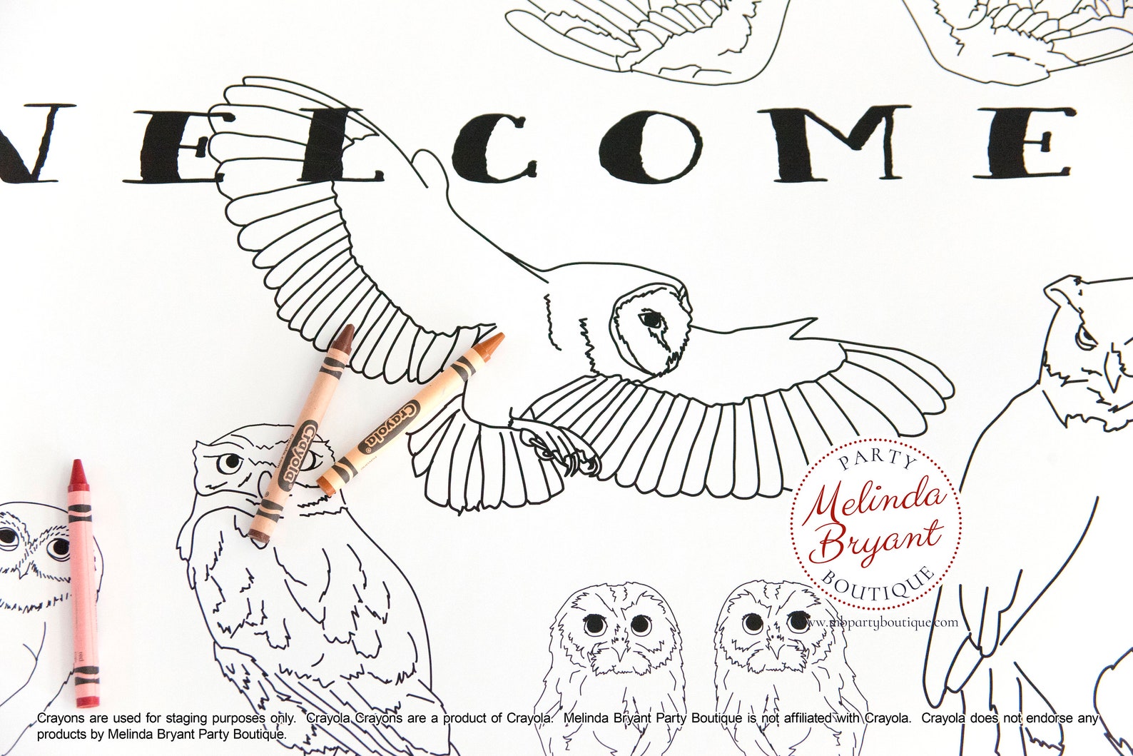 Owl Themed Coloring Table Runner: Wizard Style Party Decor, Kids ...