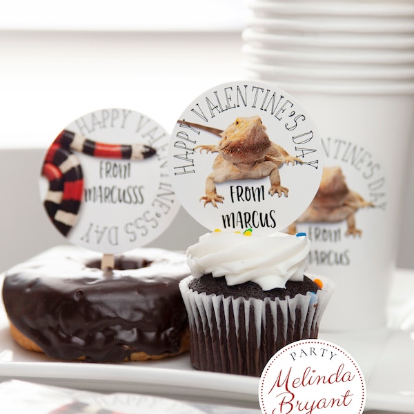 Reptile Cupcake - Etsy