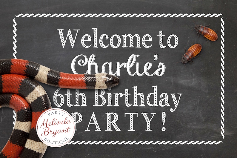 Reptile Party Door Sign 12x18 Decor Snake Lizard Birthday Banners Kids ...