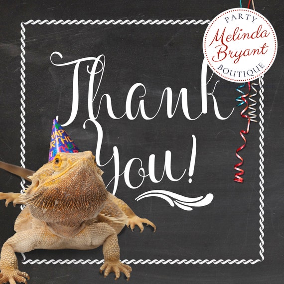 Reptile Birthday 5x5 Printed Thank You Cards Bearded Dragon Themed ...