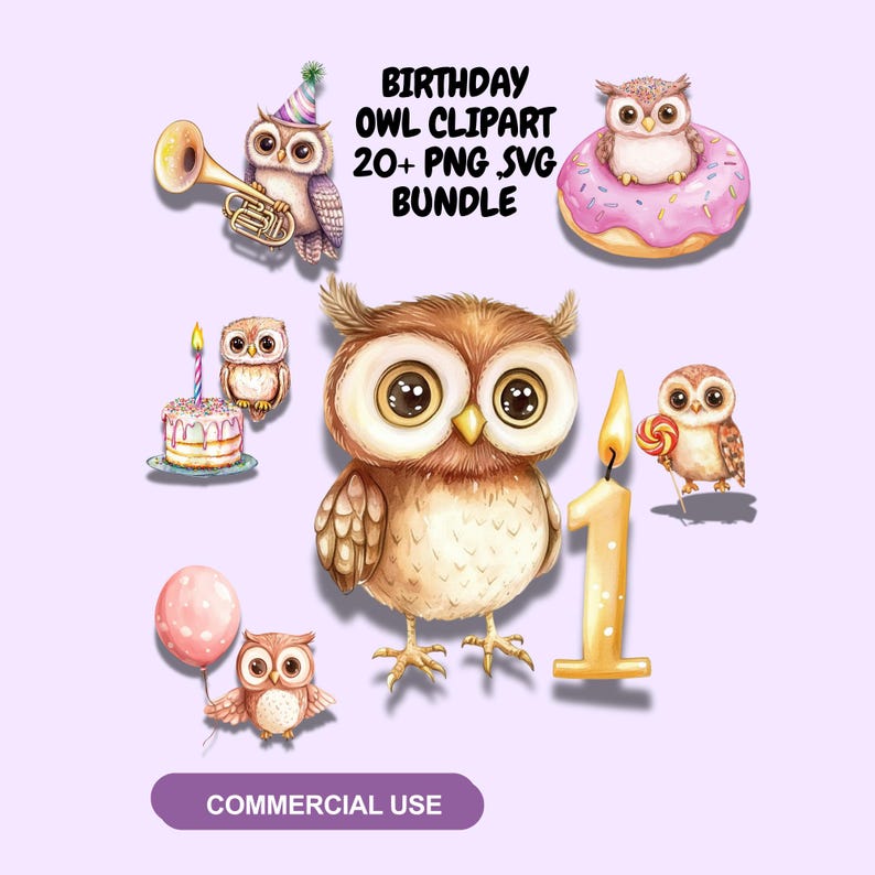 Birthday Owl Clipart Bundle | Donut, Cake, Balloon Graphics (PNG, SVG ...