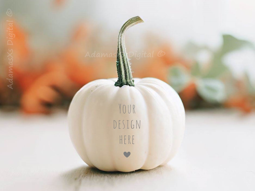 Fall Blank Pumpkin Mockup, White Pumpkin Mock Up, Decal Mockup ...
