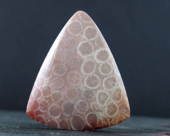 Fossil Coral Natural Stone Jewelry Making Supplies S7780 | Etsy