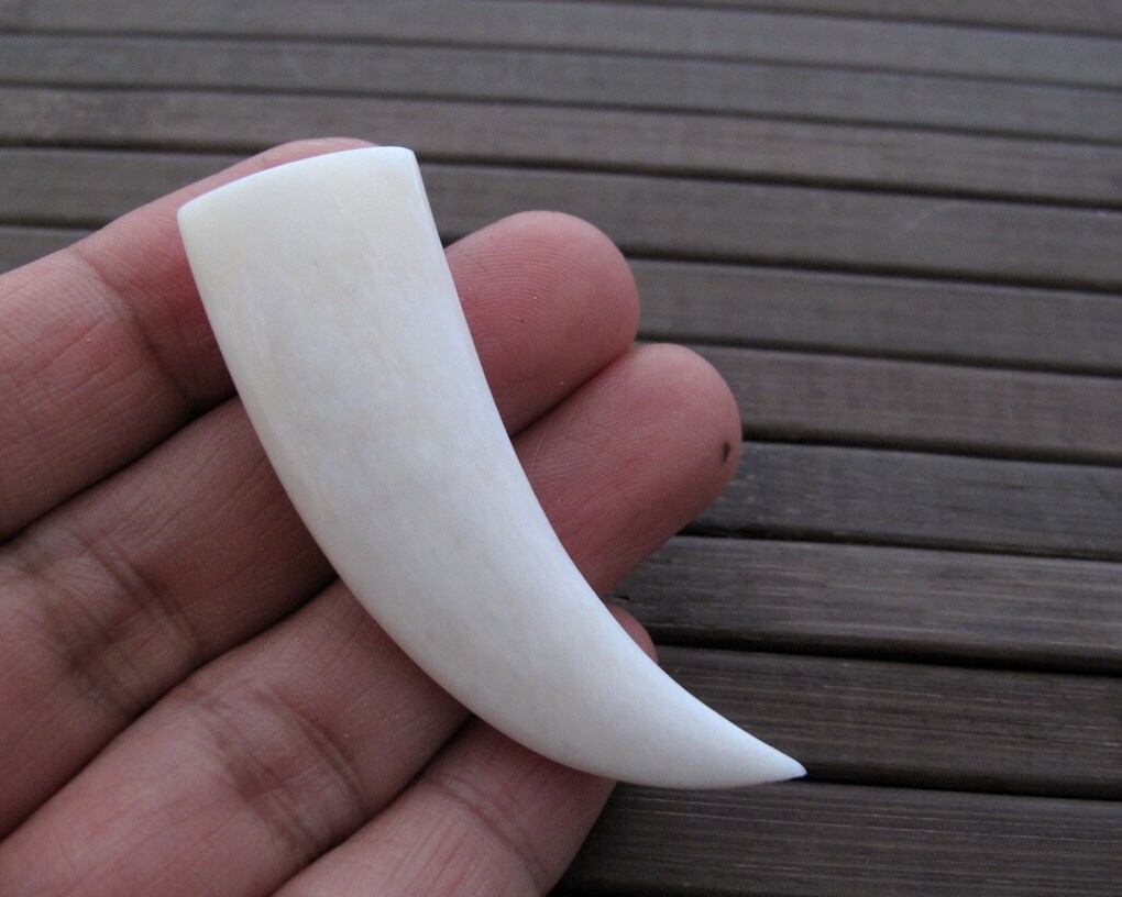 Large Hand Carved 60mm Tusk, Buffalo Bone Carving, Reversible, Jewelry ...