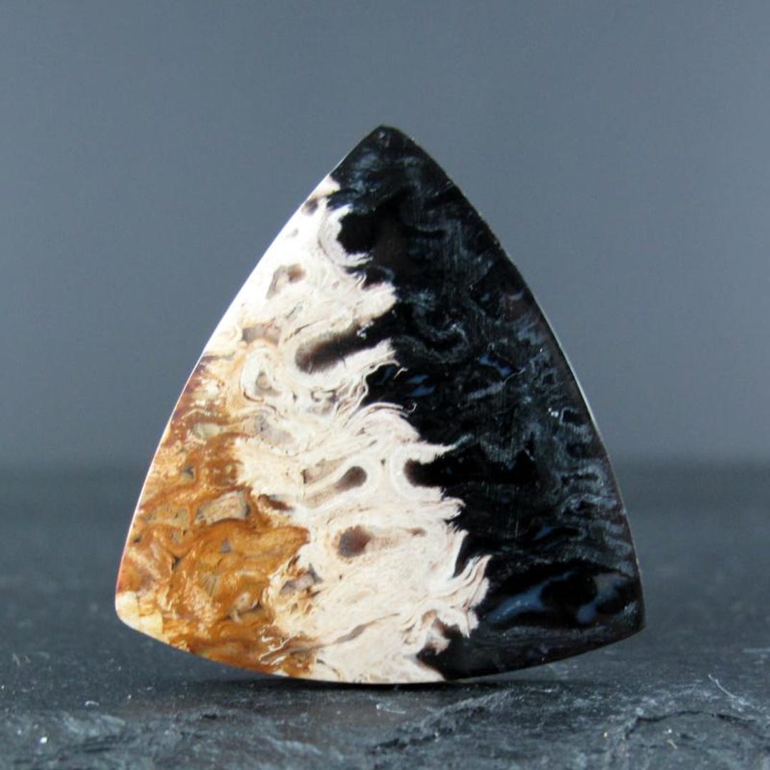Triangular Three Tone Natural Palm Root Fossil Cabochon S10279 - Etsy