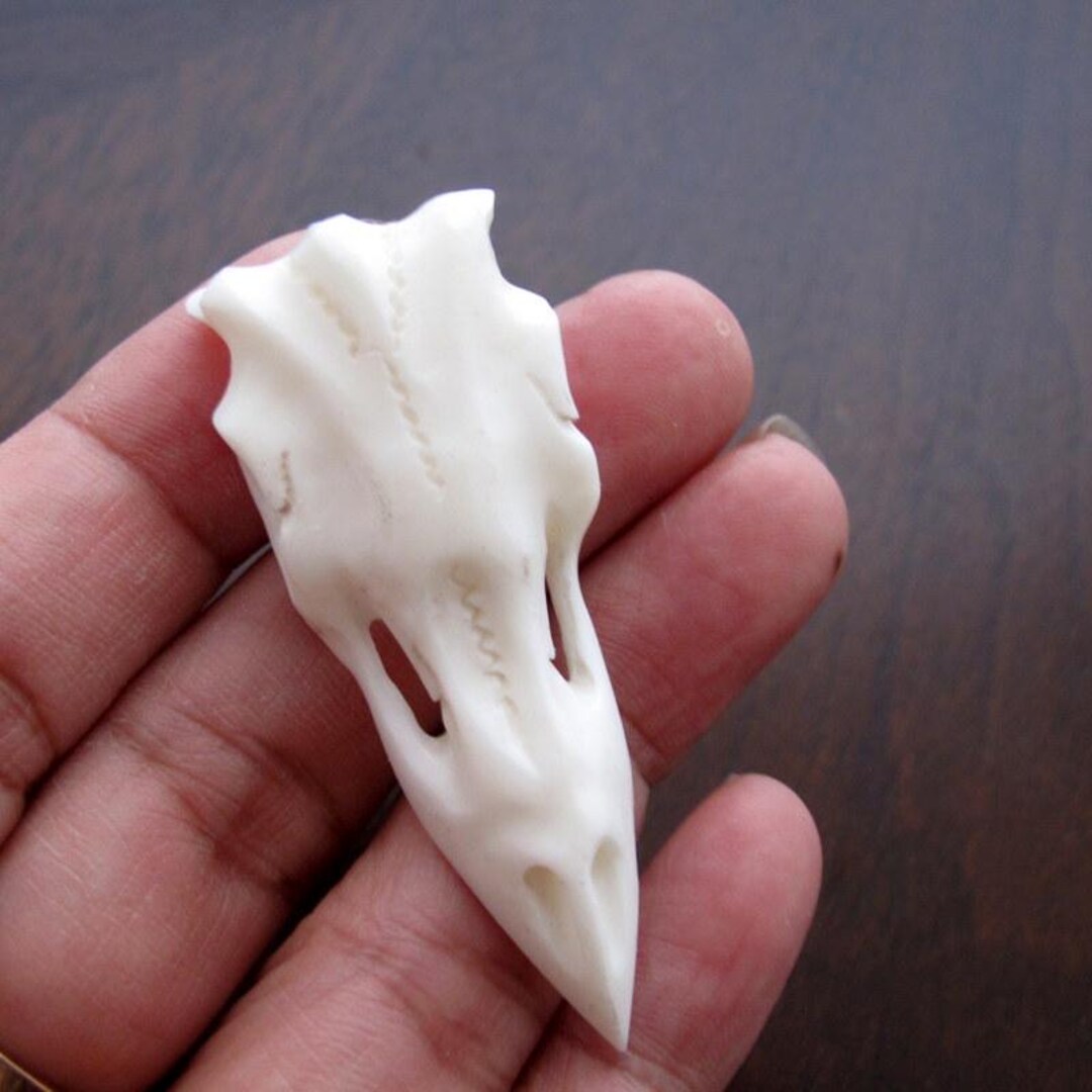 NEW Style Raven Skull, Buffalo Bone Carving, Side-drilled, Sculpture ...