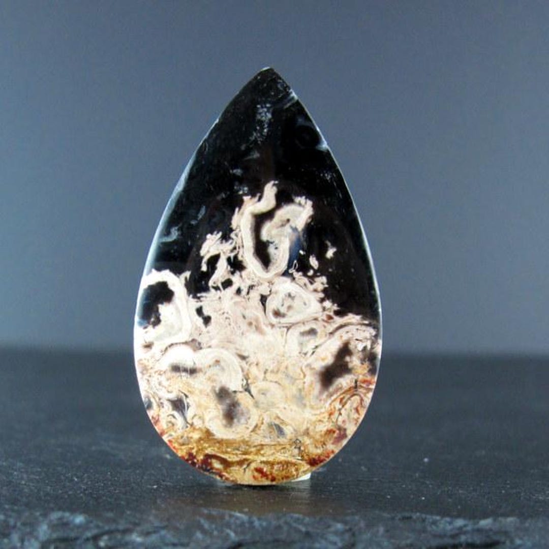 Natural Rare Tear Drop Palm Root Fossil Cabochon S10184 - Etsy