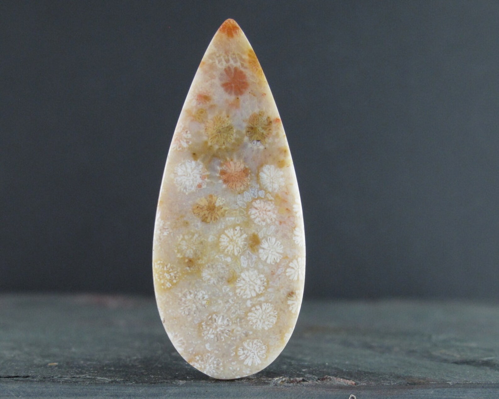 Beautiful Tear Drop Fossil Coral Cabochon. Gemstone Natural | Etsy