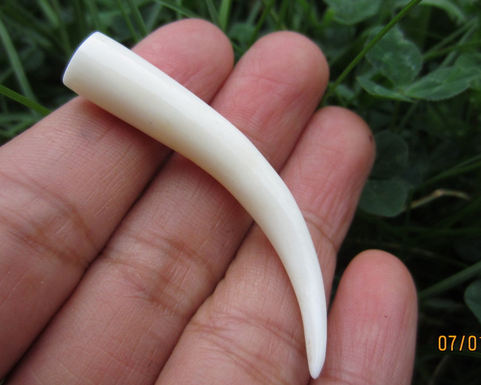Hand Carved 50mm Buffalo Bone Tusk, Pendant, Claw, NOT Drilled, Jewelry ...
