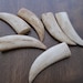 Large Antique Looking Hand Carved Tusk , Double-sided, Not-drilled ...