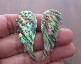 Angel Wing Shell - Etsy