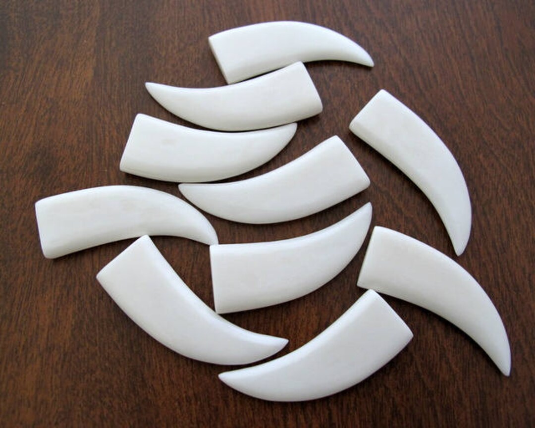 Small Hand Carved Tusk, Buffalo Bone, Reversible, Jewelry Making ...