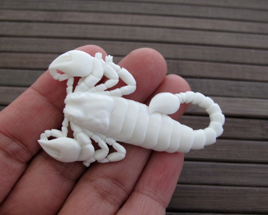 Excellently Detailed Hand Carved Scorpion, Scorpio, Buffalo Bone ...