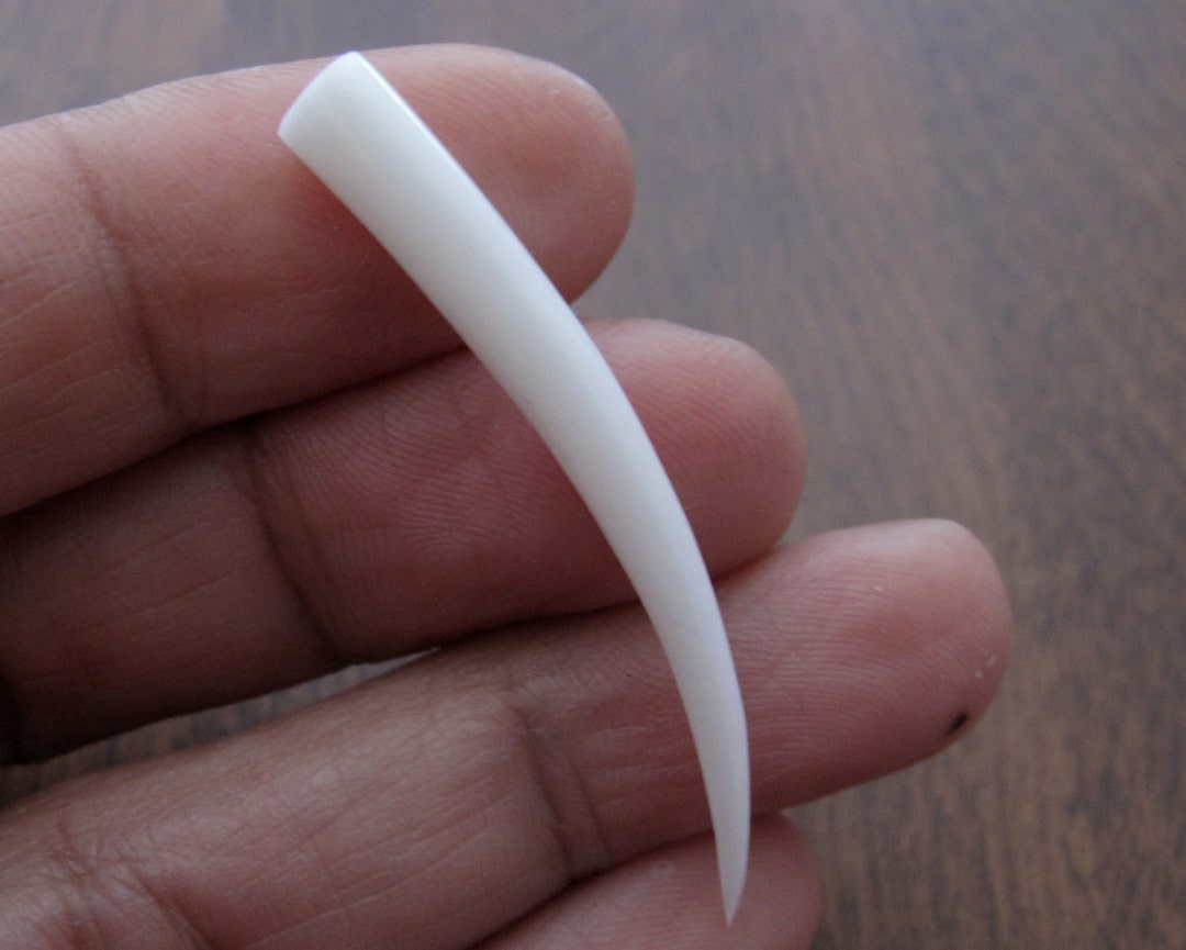 Carved Buffalo Bone Tusk, Pendant, 45 Mm X 5 Mm Round, NOT DRILLED ...