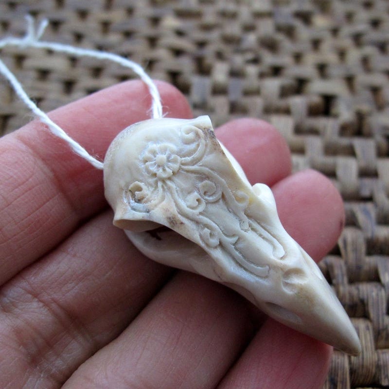 Deer Antler Raven - Etsy