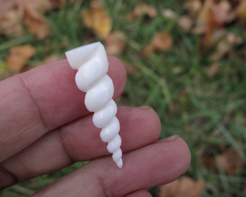 Excellent Detail mini-Unicorn Horn Carved Bone Spiral Horn | Etsy