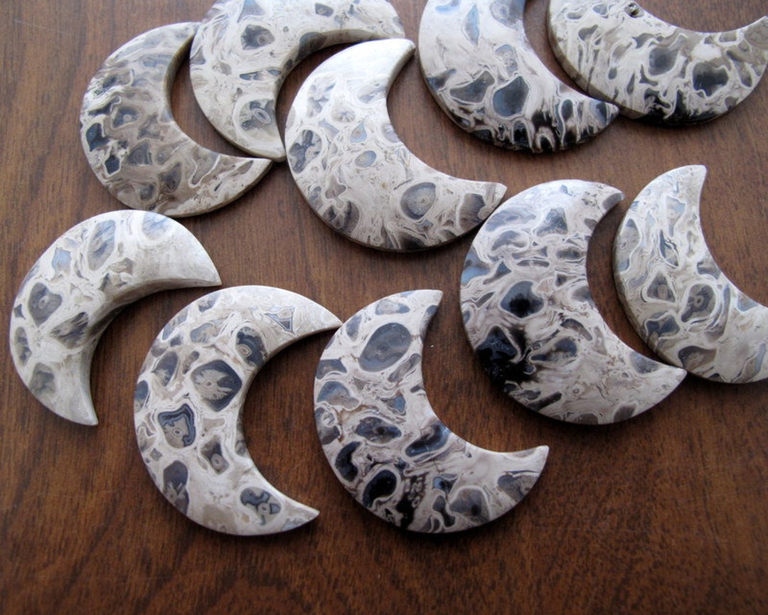 SALE Fossilized Palm Root Fossil, Rare, Crescent Moon Cabochon, Half ...