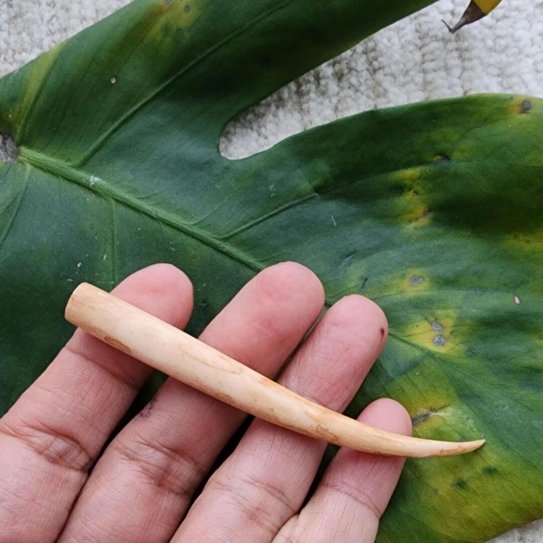 Antique Look Long Carved Buffalo Bone Tusk, ~90 Mm, Pendant, NOT ...
