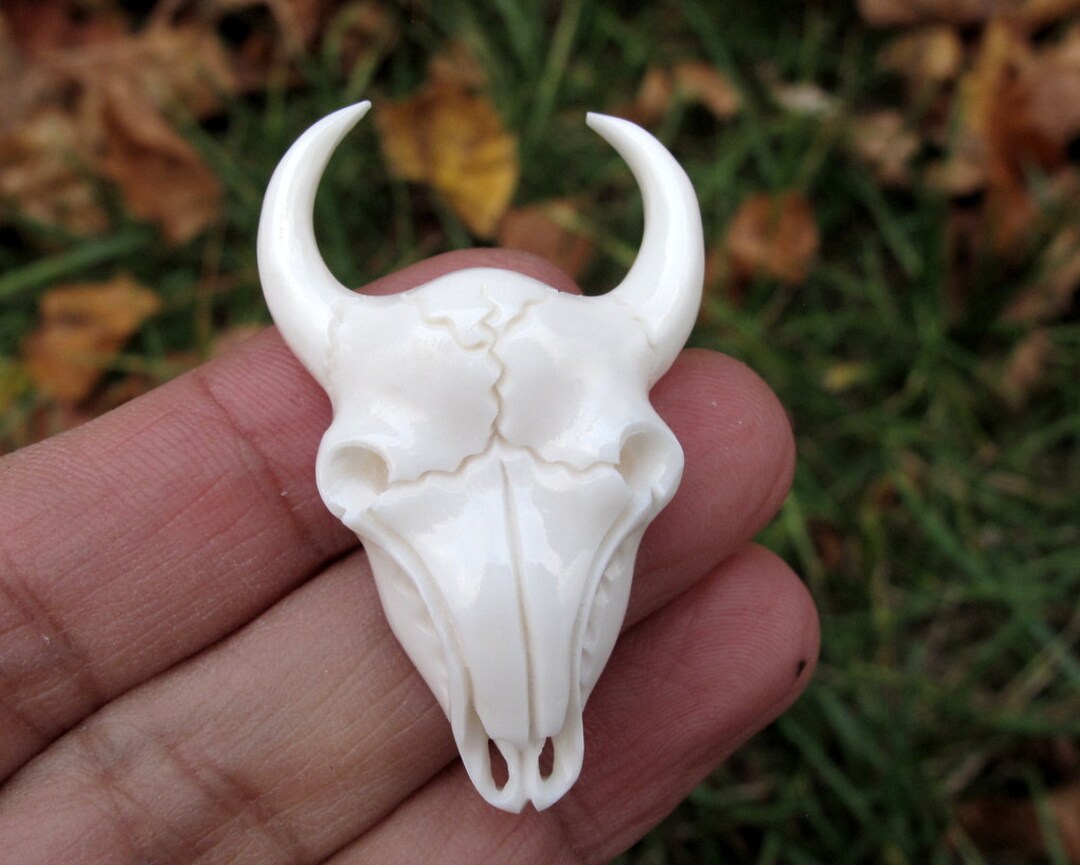 Amazing Carved Bison Head , Buffalo Bone Carving, Jewelry Making ...